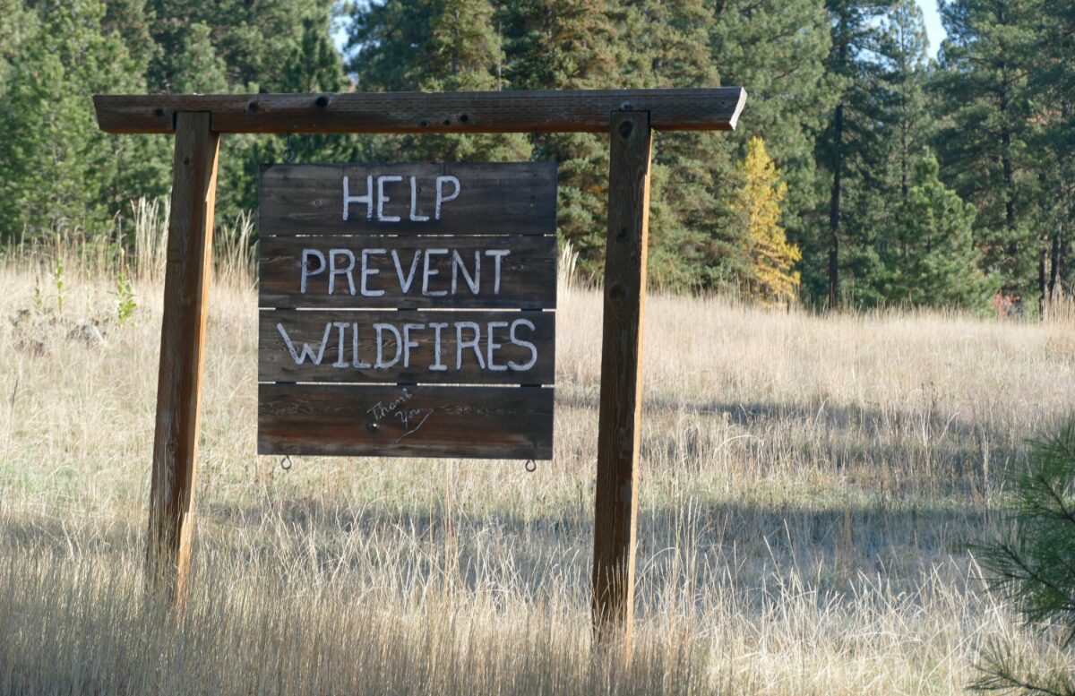 Wildfire Prevention: Protecting Lives, Communities, and Nature ...